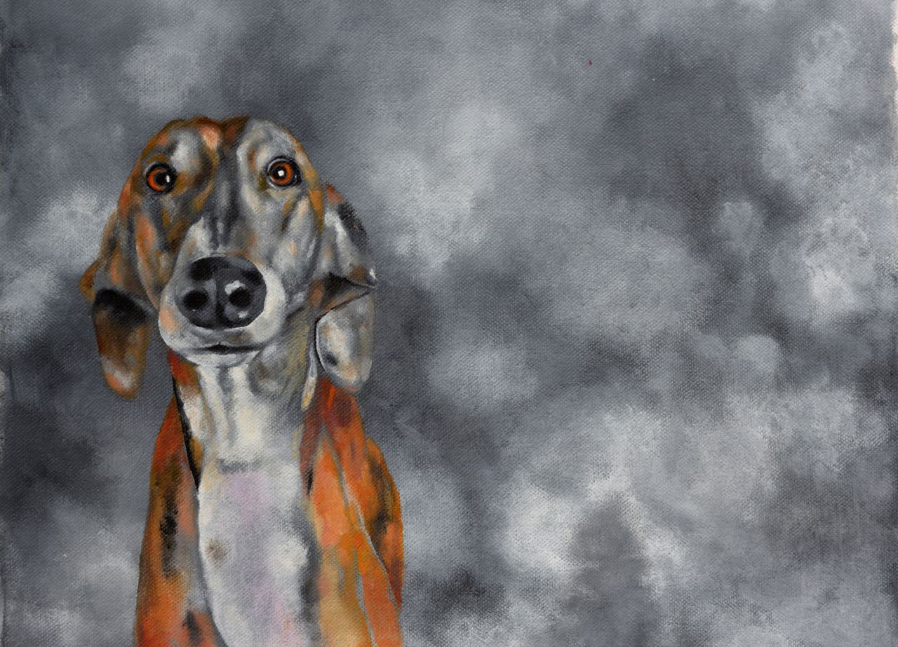 Julia Osborne – Artist | Watercolour and acrylic artist and illustrator