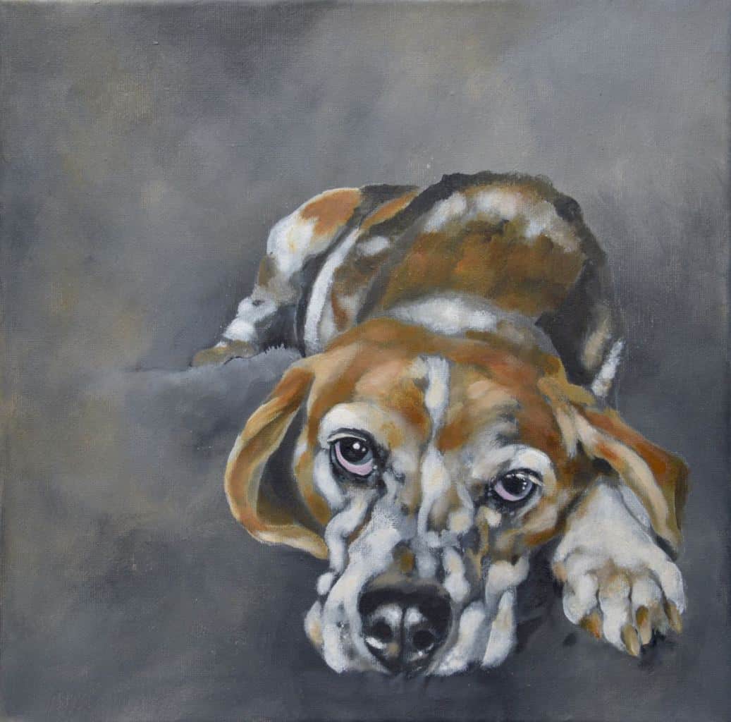 Julia Osborne – Artist | Watercolour and acrylic artist and illustrator